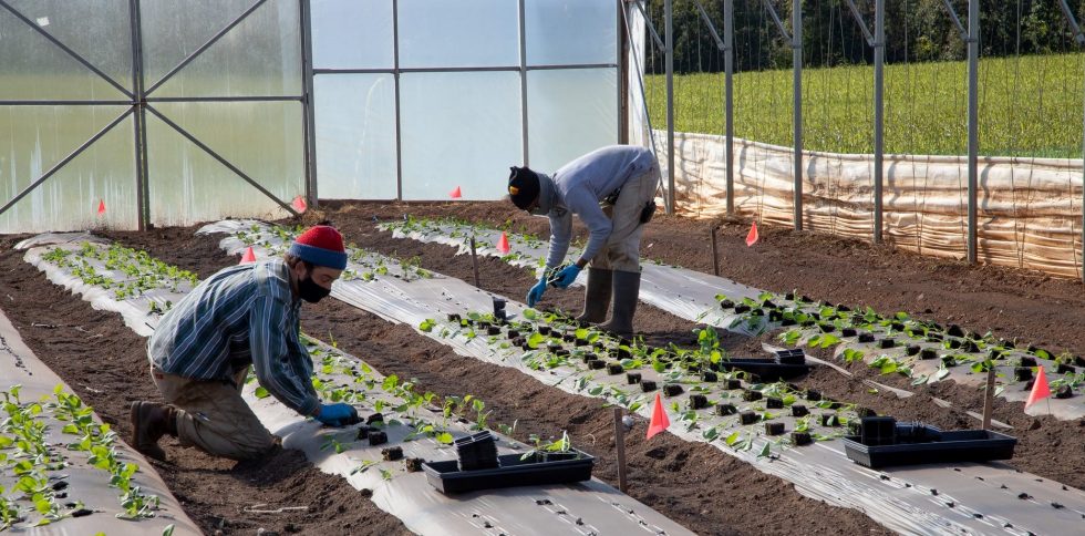 Tipos de parcela y sus diferencias Inmobiliaria EL PARQUE